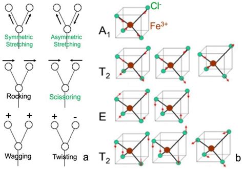 A Localized Three Atom Vibrational Modes Inside A Big Molecule B Download Scientific