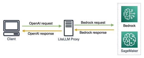 借助 Litellm Proxy 平滑迁移应用到 Bedrock 和 Sagemaker 亚马逊aws官方博客