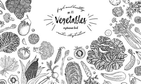 농민 시장 메뉴 디자인 서식 파일 빈티지 손으로 그린 스케치 벡터 일러스트입니다 선형 그래픽입니다 새겨진된 스타일입니다 종이 전단지 배너 메뉴 카페 레스토랑을 배치를 위해