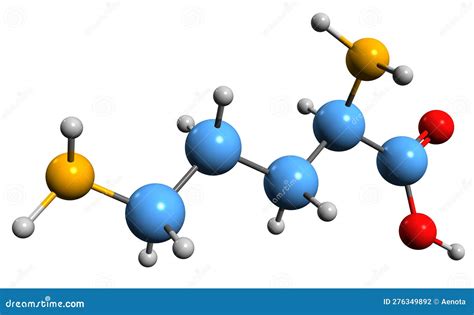Ornithine Molecular Structure Isolated On Grey Stock Illustration