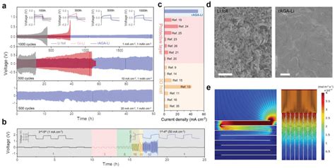 Electrochemical Performances Of Raga‐li In Symmetric Cells A