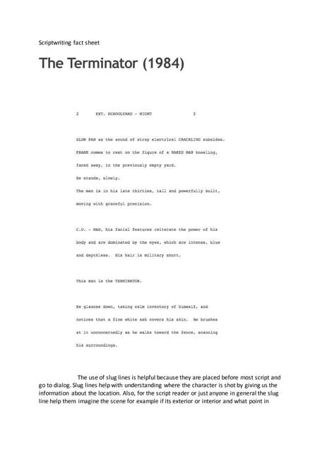 Script Writting Annalysis Pdf