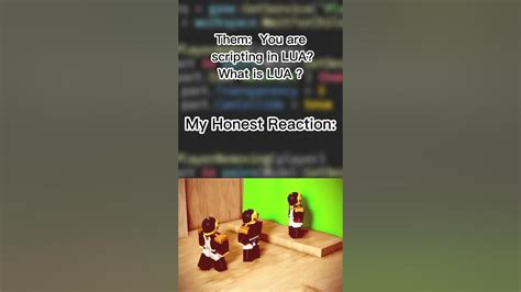 Only Roblox Scripters Can Understand This 😂😂😂 Lua Coding