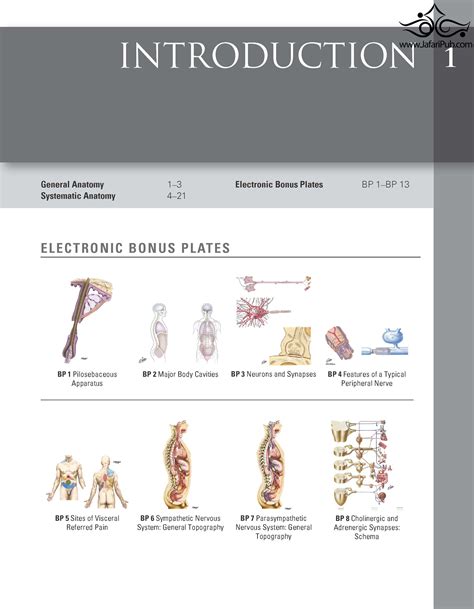 Netter Atlas Of Human Anatomy 8e Appendix تحریر