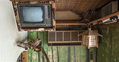 Abandoned Sex Motel Haunted By Ghosts And Left To Crumble Away Is