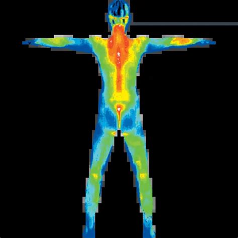Full Body Scan Longevity Centers Of America