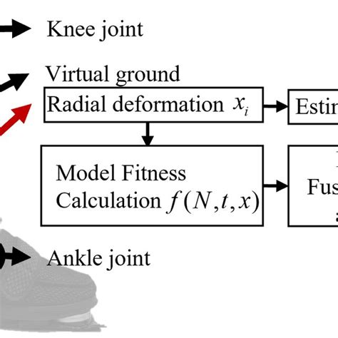 Pdf An Imu Based Ground Reaction Force Estimation Method And Its