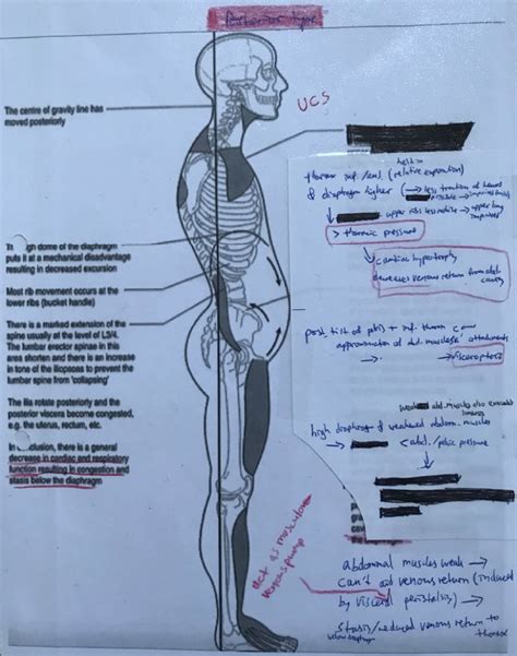 Osteopath Vs Chiropractor What Is The Difference Aston Clinic London