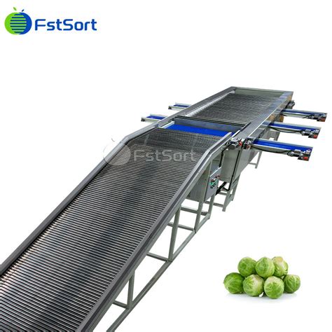 High Speed Precision Automatic Sorting Grading Machine Vegetable Fruit Size Grader Brussels