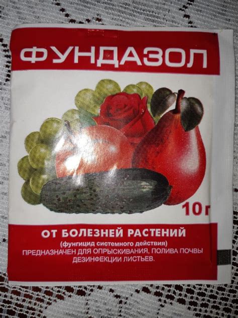 Фундазол: инструкция по прмиенению универсального фунгицида