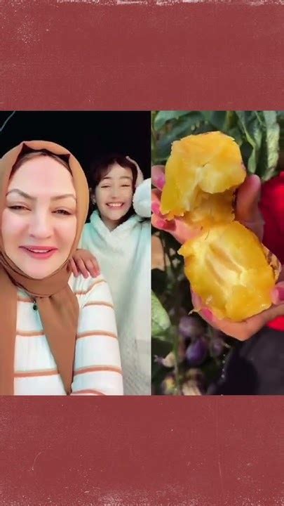 حد يعرف نوع التفاح البنفسجي ده💁🏻‍♀️🍎 Duet Beauty Explore Funny