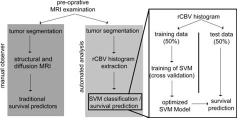 Schematic Illustration Of The Svm Analysis Routine After Manual And