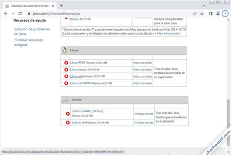 Cómo Instalar Java 8 En Debian 8 Jessie ️ [2024] Paso A Paso