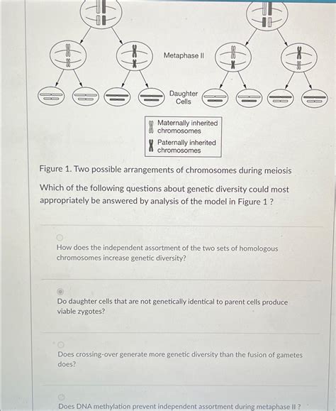 Solved Maternally Inheritedchromosomespaternally Inherited
