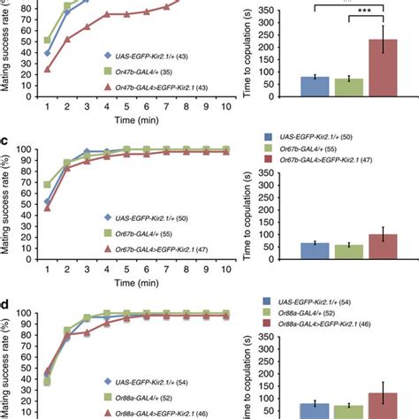 Differential Effects Of Blocking Olfactory Receptor Neuronal Activity