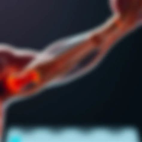 Anatomy Of The Biceps Tendon