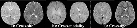 3d masked autoencoding and pseudo labeling for domain adaptive