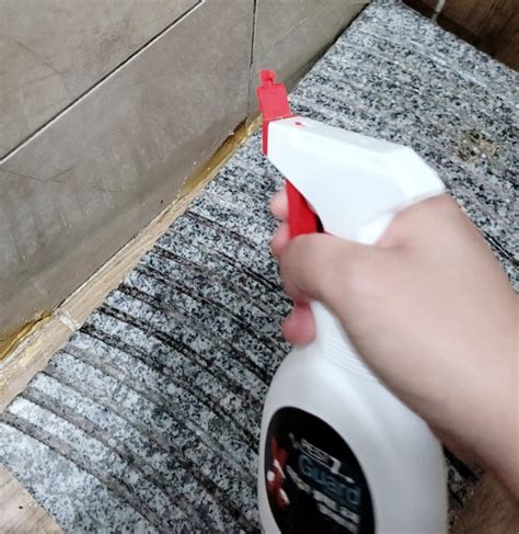 권연벌레 트랩 페스트세븐가드 개쎄요 재구매자 후기 네이버 블로그