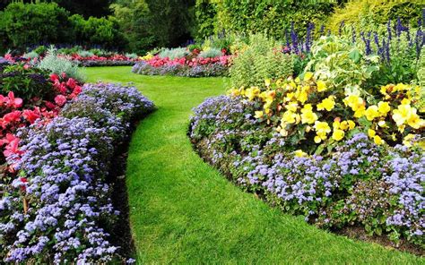 Garden Color Schemes Ald