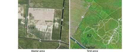 Generalization Of A Learned Gradient Close To The Hive The Left Figure Download Scientific