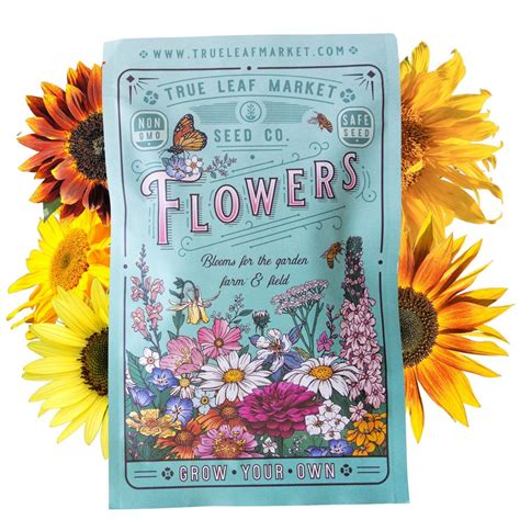 Annual Sunflower Garden Seeds 5 Variety Of Sun Flower Seeds For