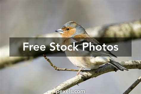 Labtob Wallpaper Photos Download The Best Free Labtob Wallpaper Stock