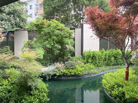 常绿林溪宸院实景图23 洛阳常绿林溪宸院实景图图片大全 吉屋网