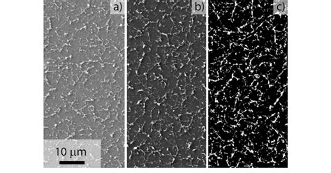 Bitmap Of Original Grayscale Sem Image A After Auto Levels Correction Download Scientific