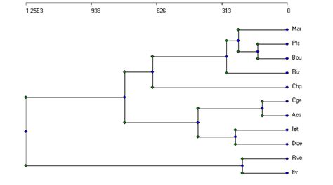 Classification Hiérarchique Ascendante De La Perception Locale Des