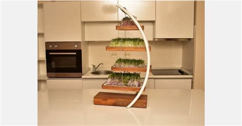 Automated Microgreens Grower Launched On Kickstarter Automated Microgreens Grower Launched On Kickstarter