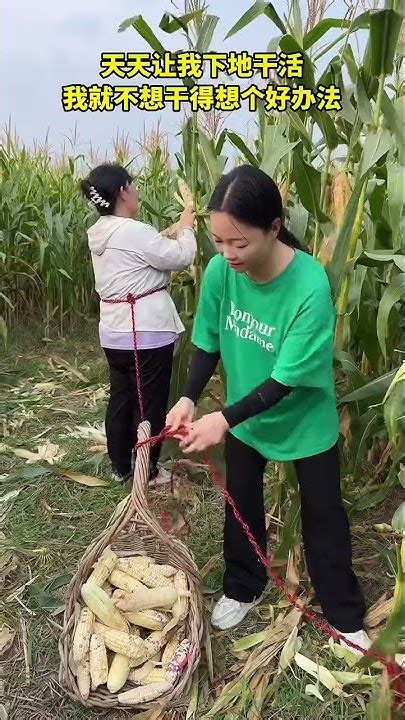 天天让我下地干活，我就不想干得想个好办法苏糖爱搞笑搞笑生活shorts Youtube