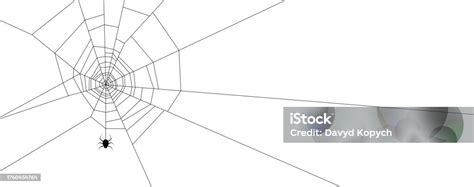 거미줄과 거미가 있는 흰색 할로윈 배너입니다 벡터 일러스트 레이 션입니다 거미에 대한 스톡 벡터 아트 및 기타 이미지 거미 프레임 10월 Istock