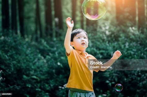 남자아이 활기참 어린이 놀이soap 비눗방울 In Park 기포에 대한 스톡 사진 및 기타 이미지 기포 소년 2 3 살 Istock
