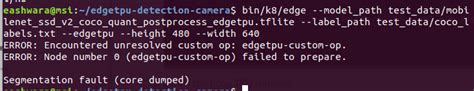 error encountered unresolved custom op edgetpu custom op · issue 139