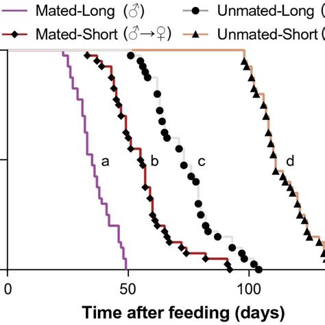 Effects Of Mating Frequency And Starvation On The Survival Of Female Download Scientific