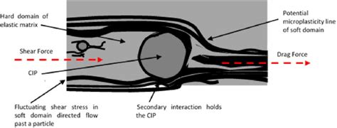 Schematic Illustration Of Potential Localized Shear Formation Laterally Download Scientific