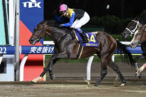 【ダート3冠】ジャパンダートダービーはジャパンダートクラシック（jdc）に改称し10月に施行 競走体系も大幅に見直しへ 競馬ニュース・特集