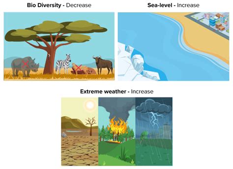 Flexi Answers How Does Global Warming Work Ck 12 Foundation