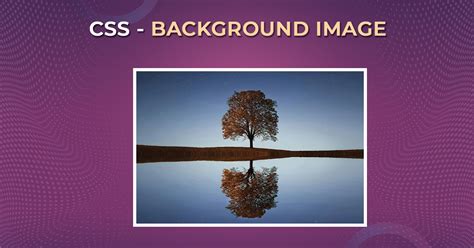 Comprehensive Guide To Css Background Image Web Design