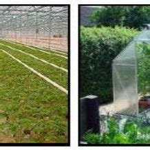 PDF Development Of Greenhouse Monitoring Using Wireless Sensor Network Through ZigBee Technology