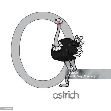 흰색 배경에 고립 된 타조 서의 벡터 그림입니다 교재로 사용하기 위한 대문자 O와 함께 아이들이 영어 알파벳을 알 수 있습니다 알파벳 O에 대한 스톡 벡터 아트 및 기타