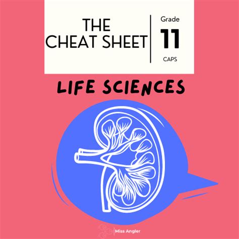 The Cheat Sheet Grade Life Sciences Miss Angler