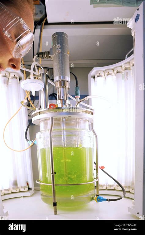 Bioreactor Small Scale Bioreactor In A Botanical Laboratory
