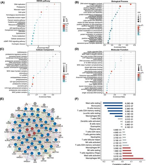 In Silico Analyses For Potential Biological Functions Of Screened Download Scientific Diagram