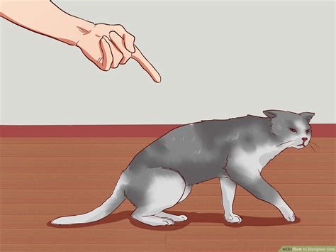 How Do You Punish A Cat For Scratching You