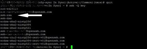 Delete Ssh Rsa Host Key