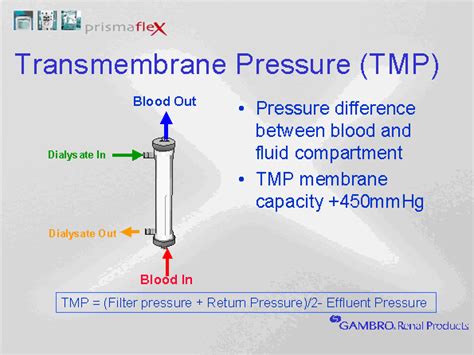 Hemodialysis Devices Dialyzers