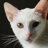 Av M S Items For Sale On Carousell