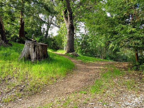 Park Wildwood Park Reviews And Photos 20764 4th St Saratoga Ca