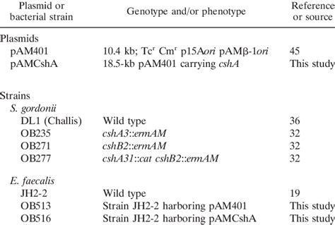 Streptococcal And Enterococcal Strains And Plasmids Used Download Table
